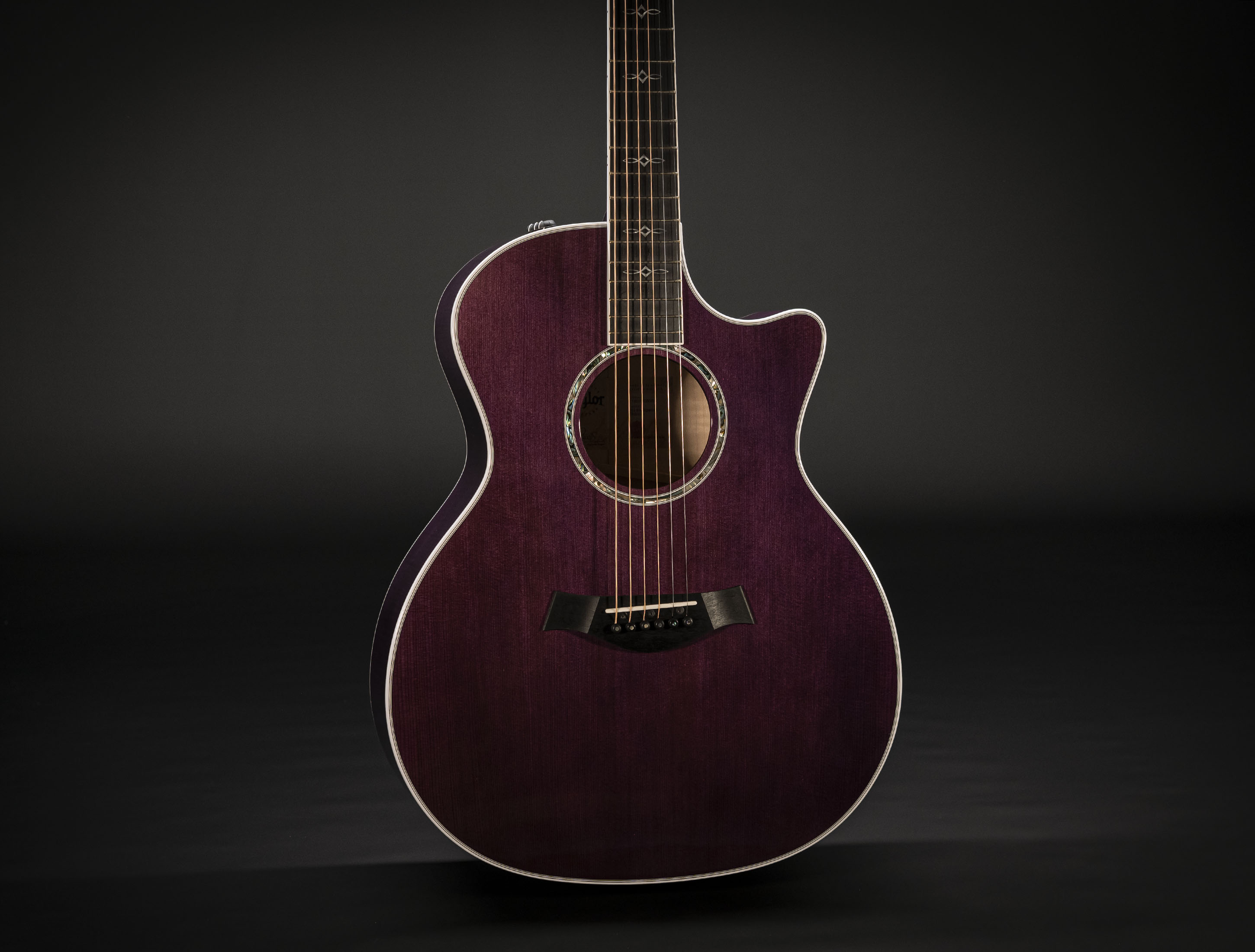 Taylor Guitars News | Musikhaus Hermann